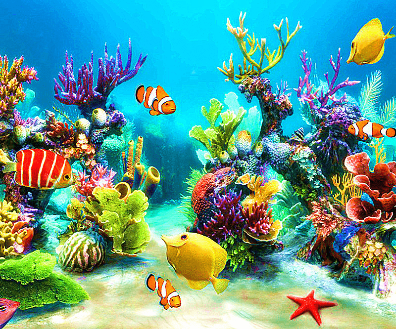 Underwater Reef Lagoon - Full Canvas Nature DIY 5D Diamond Painting