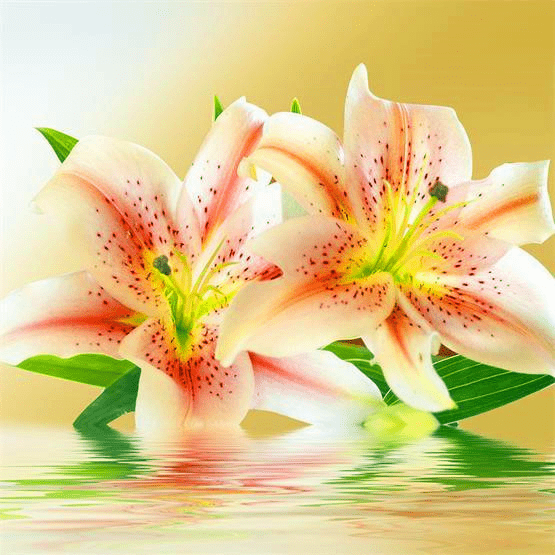 Yellow Lily Diamond Painting Kit (Full Drill)