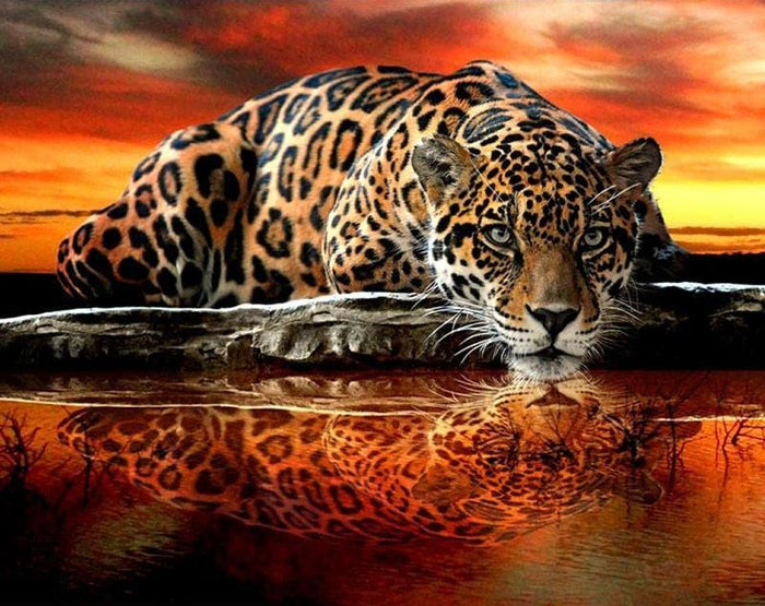Leopard Reflection Diamond Painting Kit (Full Drill)